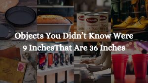 How Big Is 9 Inches: Objects You Didn’t Know Were 9 Inches